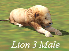 Lion 3 Male - kuid base